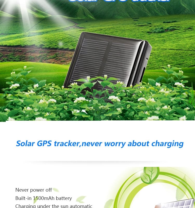RF-V26+ Sheep Horse Animal GPS Tracking System,Long Life Waterproof ...